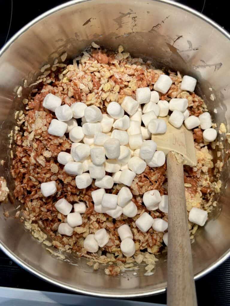 Chocolate Covered Rice Krispies Recipe-Stir Taste Smile