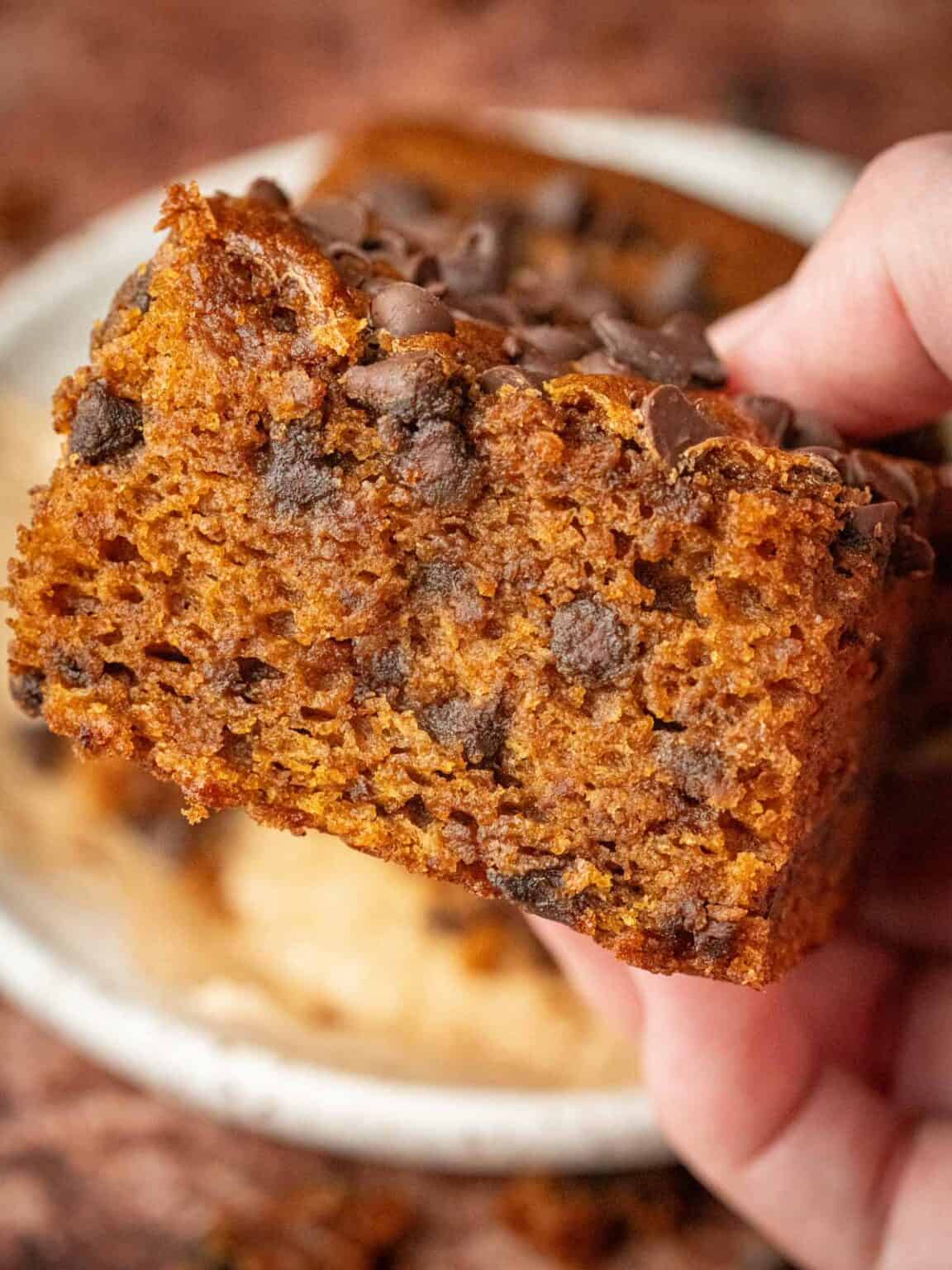 Pumpkin Chocolate Chip Cake - Stir Taste Smile