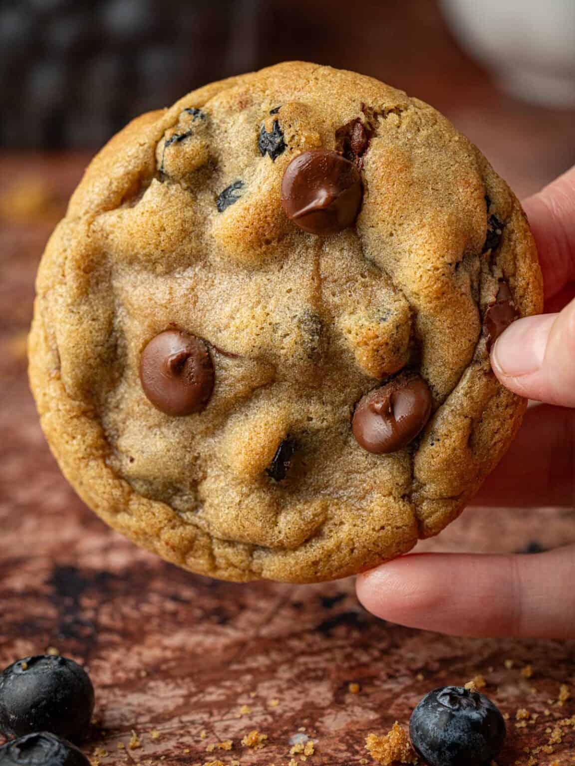 Blueberry Chocolate Cookies – Stir Taste Smile