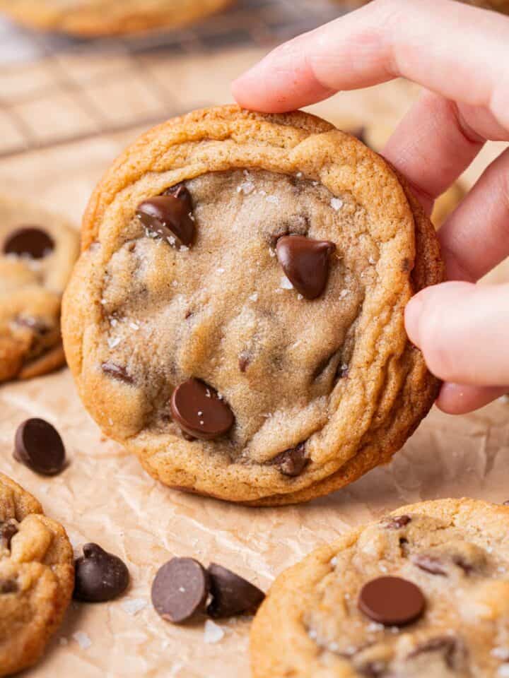 Soft and Chewy Chocolate Chip Cookie Recipe - Stir Taste Smile