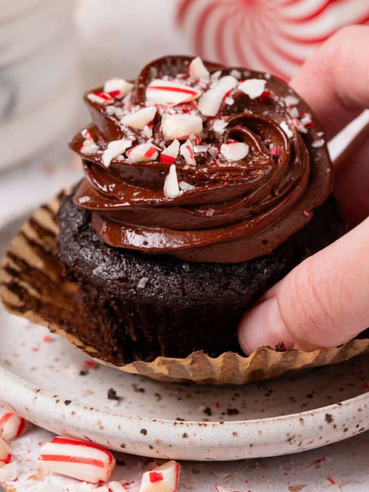 Easy Chocolate Espresso Cake Recipe-Stir Taste Smile
